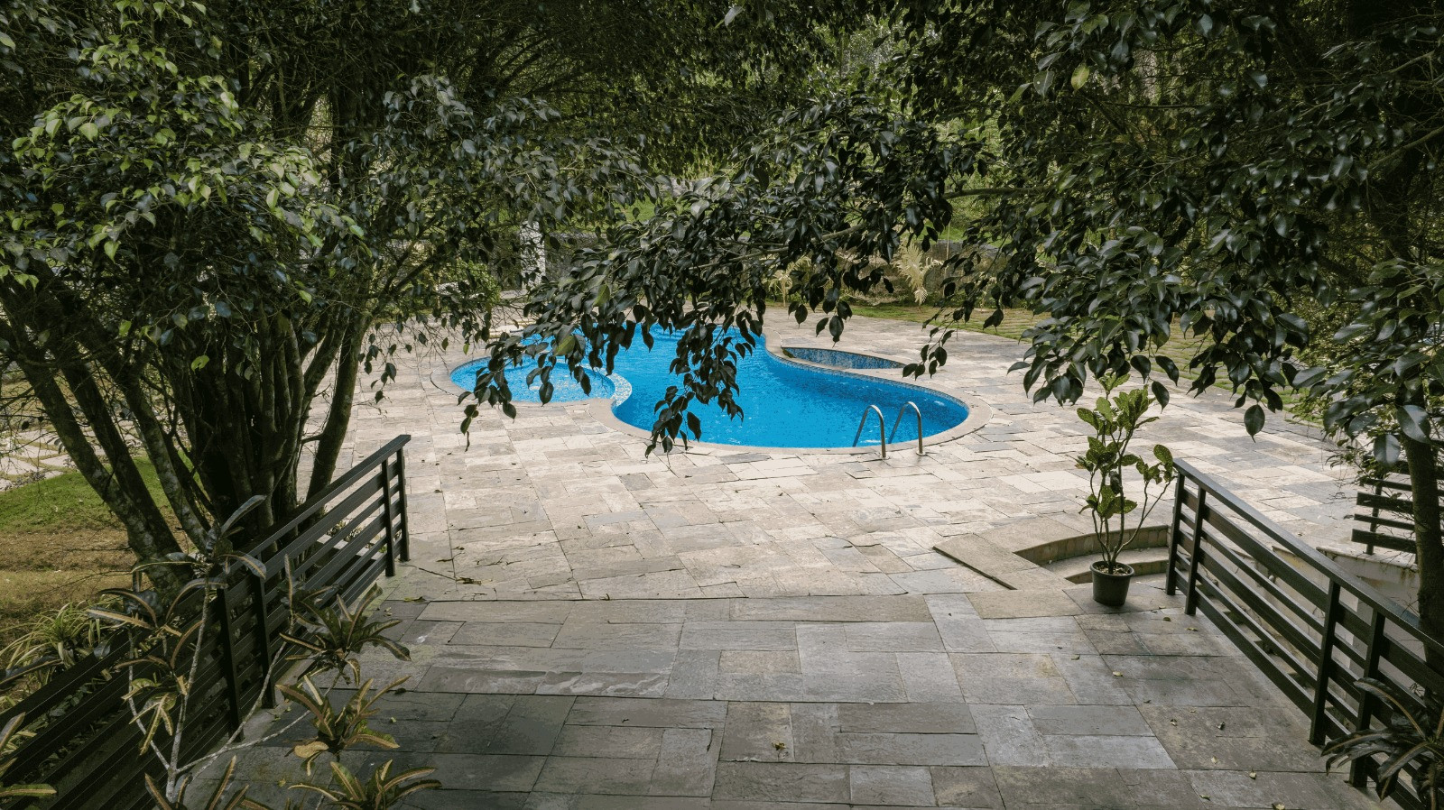From Forest Trails to Poolside Bliss – Stay at the Best Resort in ...